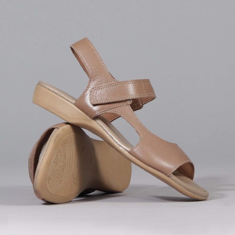 Slingback Flat Sandal in Stone - Froggie | Leather Shoes | South Africa ...