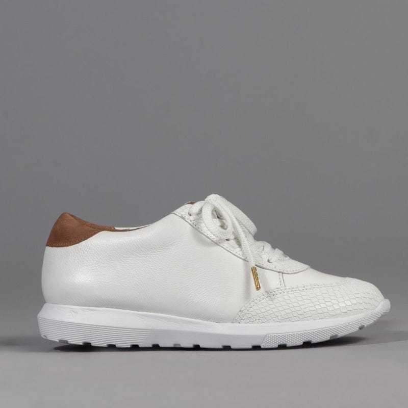 Lace-up Sneaker in White -Froggie | Leather Shoes | South Africa ...