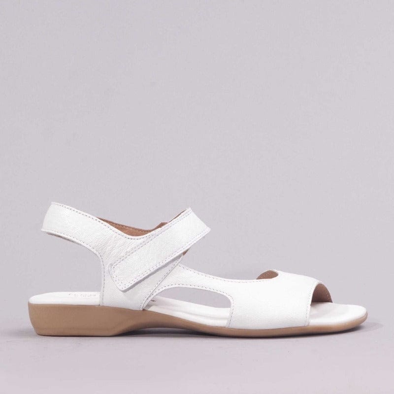 Slingback Flat Sandal in White - Froggie | Leather Shoes | South Africa ...